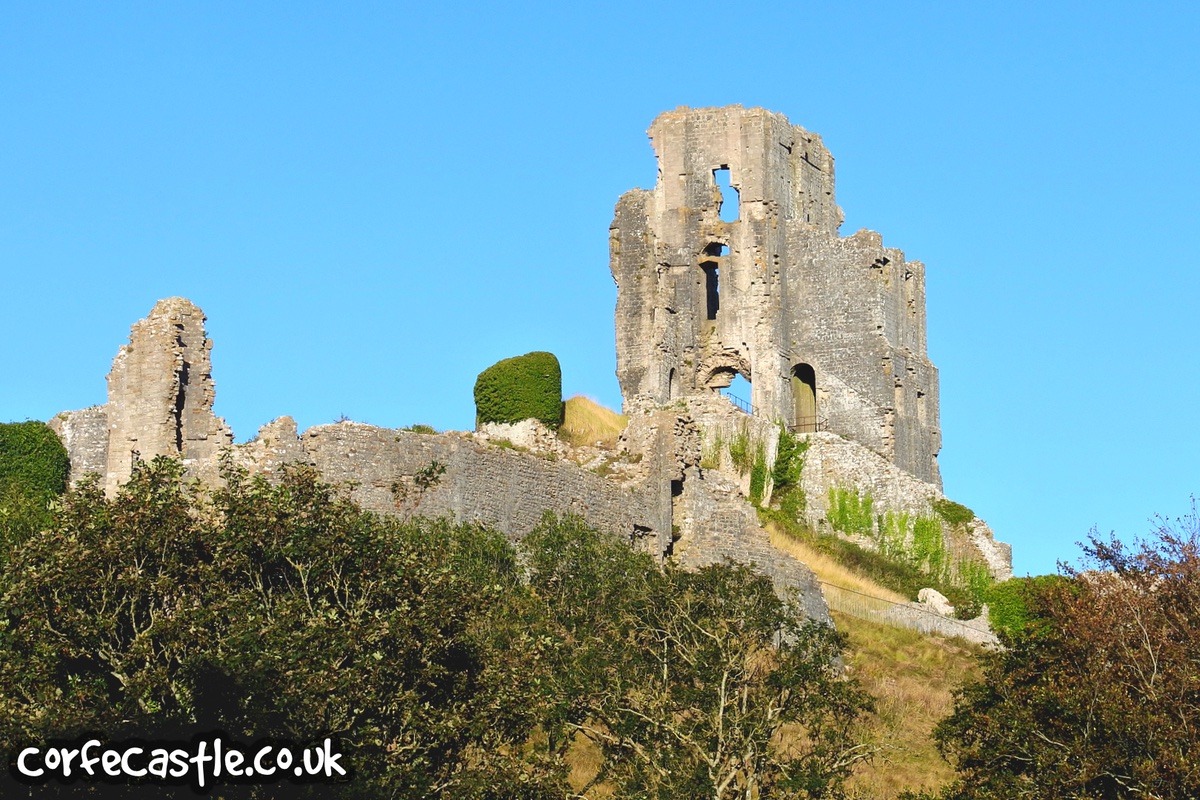 Corfe Castle Businesses - Corfe Castle
