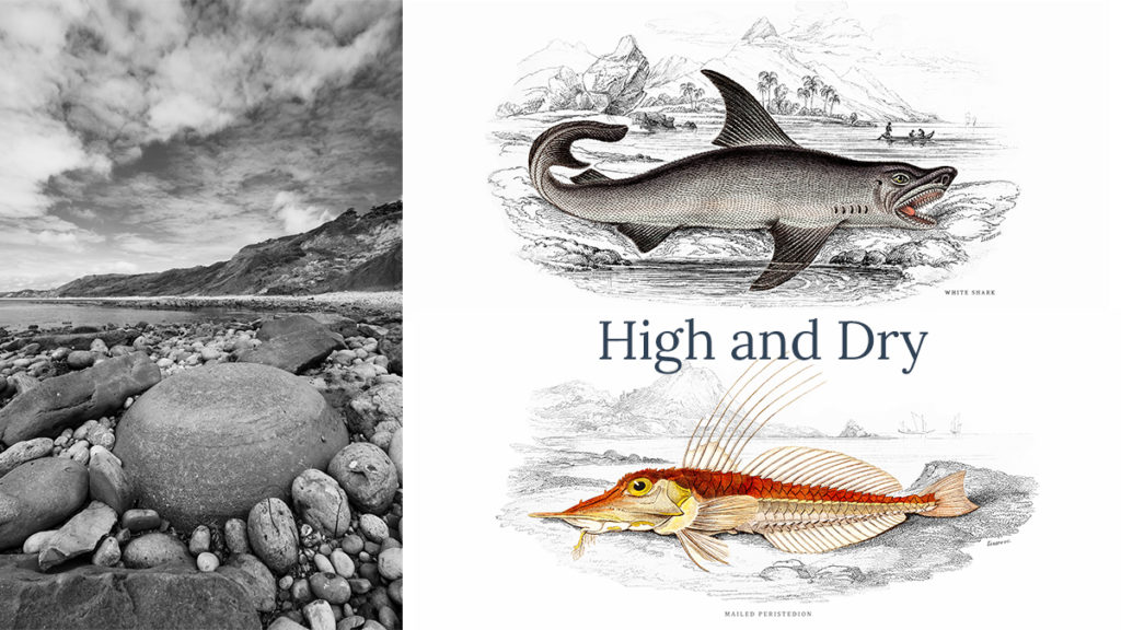 High and Dry Art Exhibition, Kimmeridge – Corfe Castle