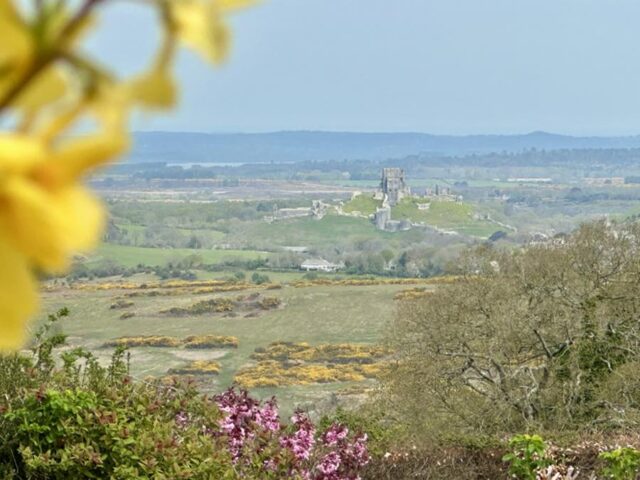 The Scott Arms, Kingston – Corfe Castle