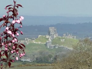 The Scott Arms, Kingston – Corfe Castle